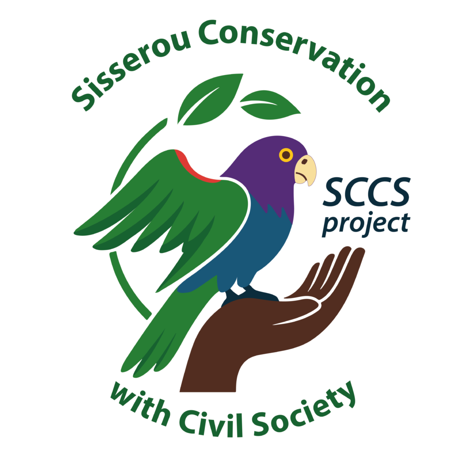Conserving the Imperial Amazon Parrot in Dominica - Caribaea Initiative